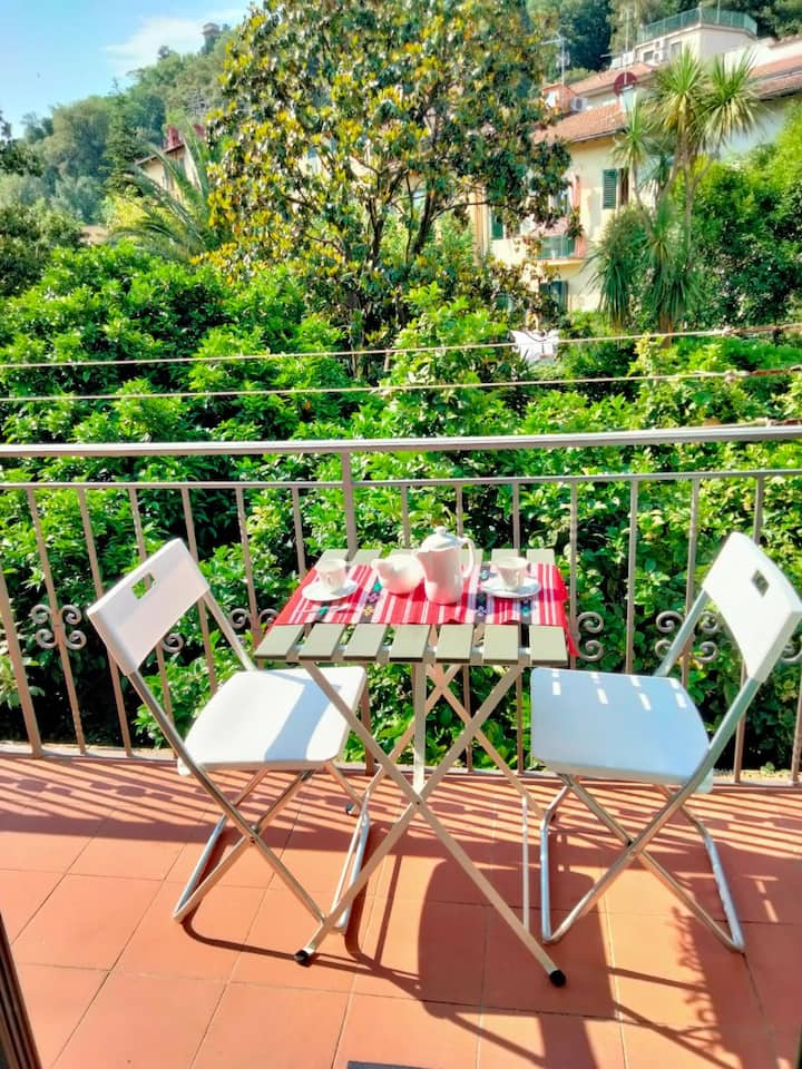 Appartamento "Il Pomelo" - Florenz