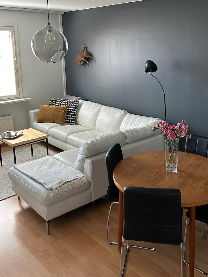 Kodikas Ja Valoisa Kaksio, Ilmainen Pysäköinti - Oulu