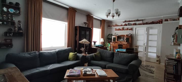 Nummen Goto, Kivenheitto Torilta - Rauma