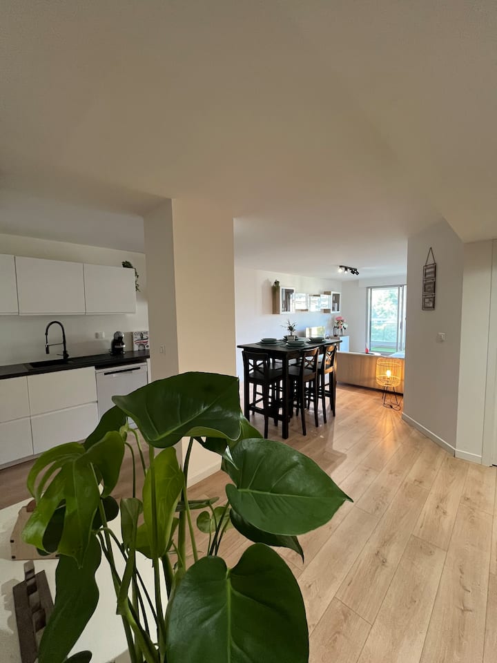 Bel Appartement Climatisé - Niza