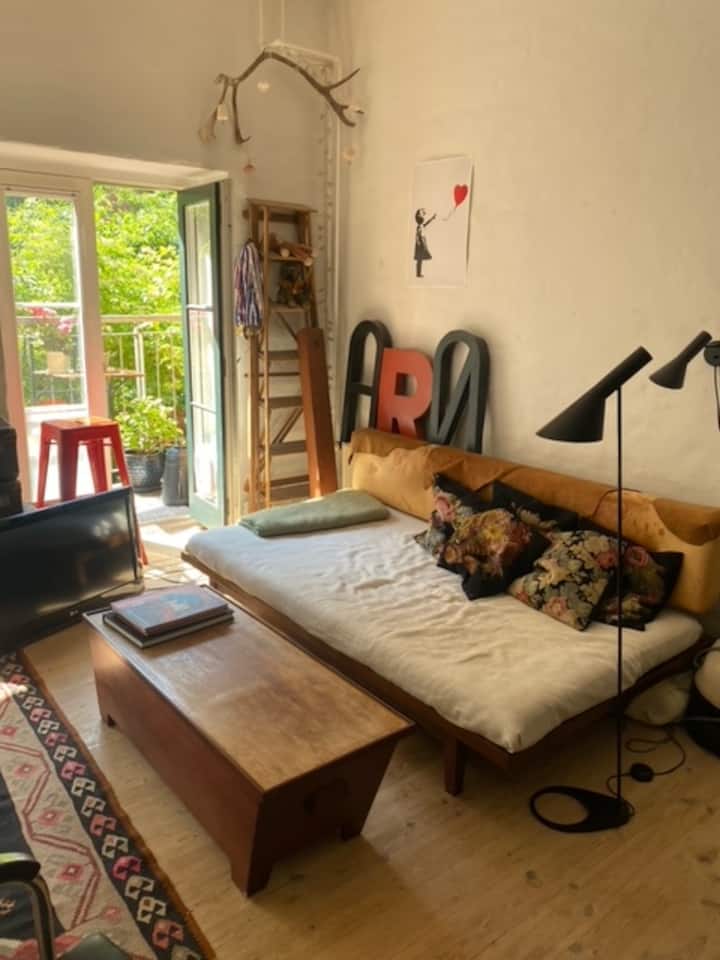 Charmerende Lejlighed I Centrum - Copenhagen