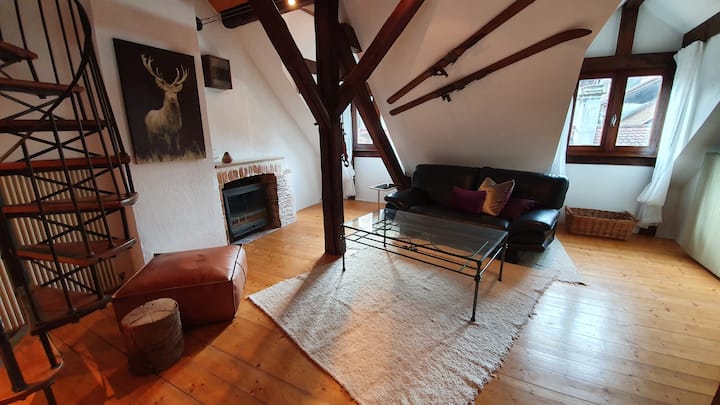 Loft Spacieux - Vieille Ville - à 2 Pas Du Lac - Annecy