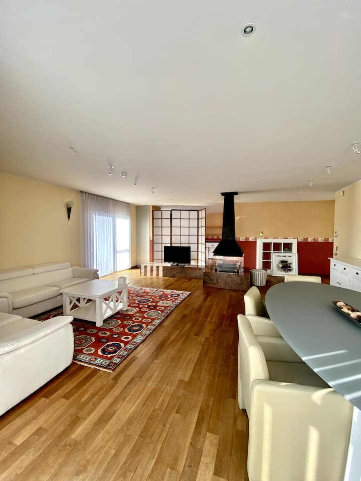 Ruim Dakappartement Met Terras - Louvain
