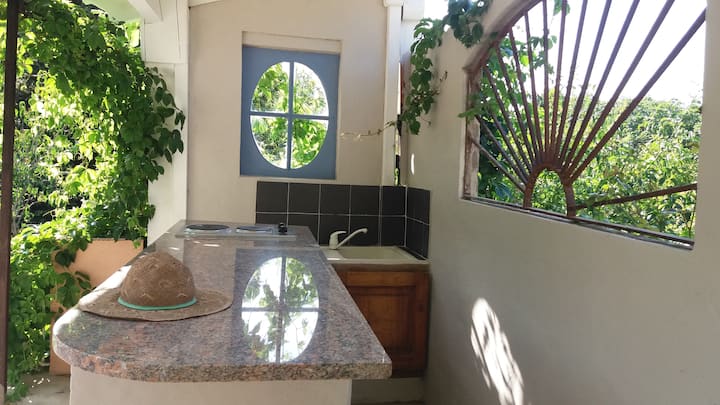 Très Grande Chambre Avec Cuisine D'été Et Piscine - Saint-Florent