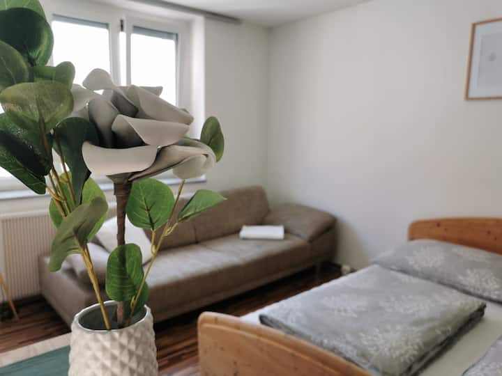 Tolle Und Geräumige Wohnung Zentral/bahnhof - Graz