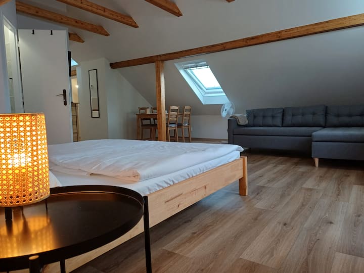 Loft Apartment - Karlovy Vary