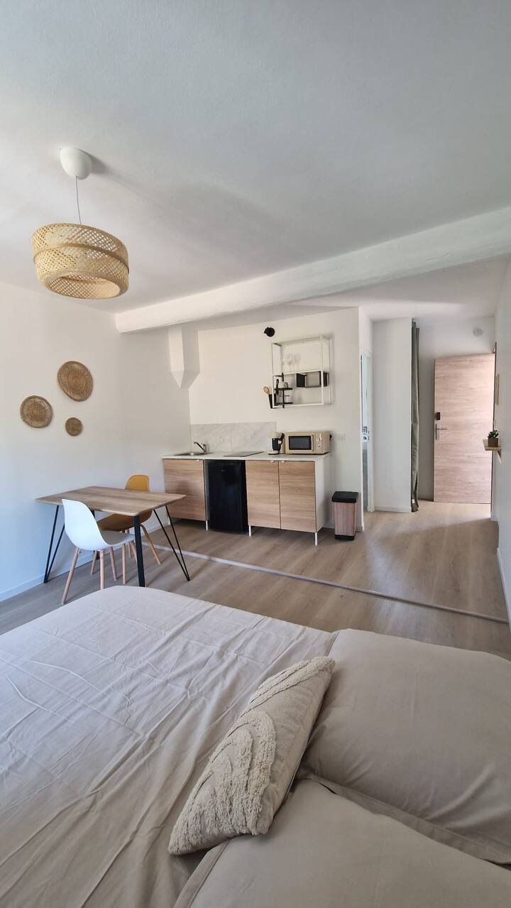 Appartement T1 Centre Lagnieu - Lagnieu
