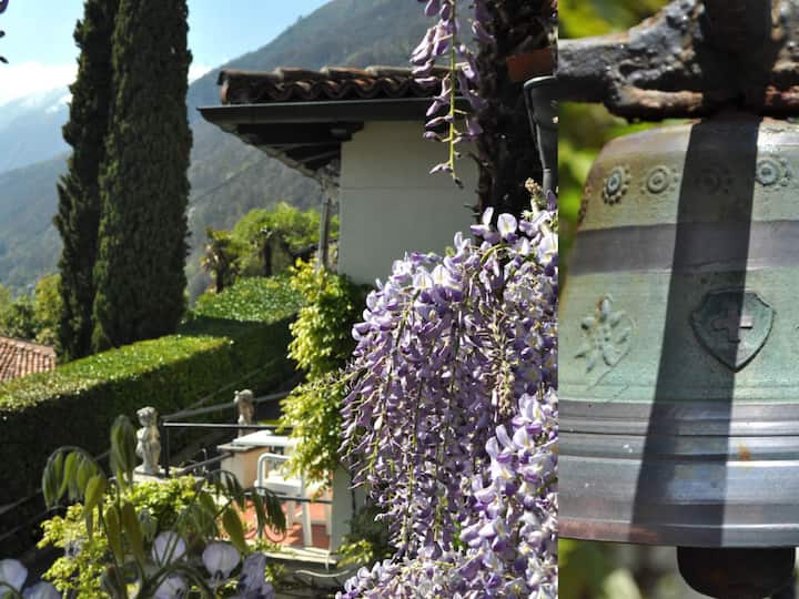 Studio Cresta Bianca - Ronco sopra Ascona