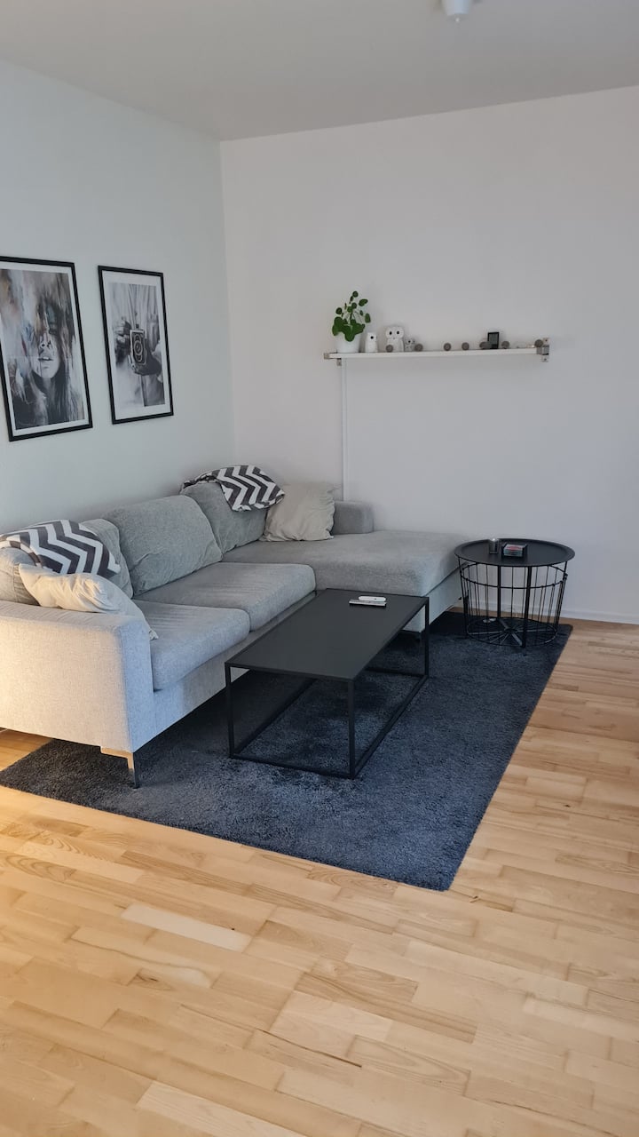 Central Och Trivsam Lägenhet - Helsingborg