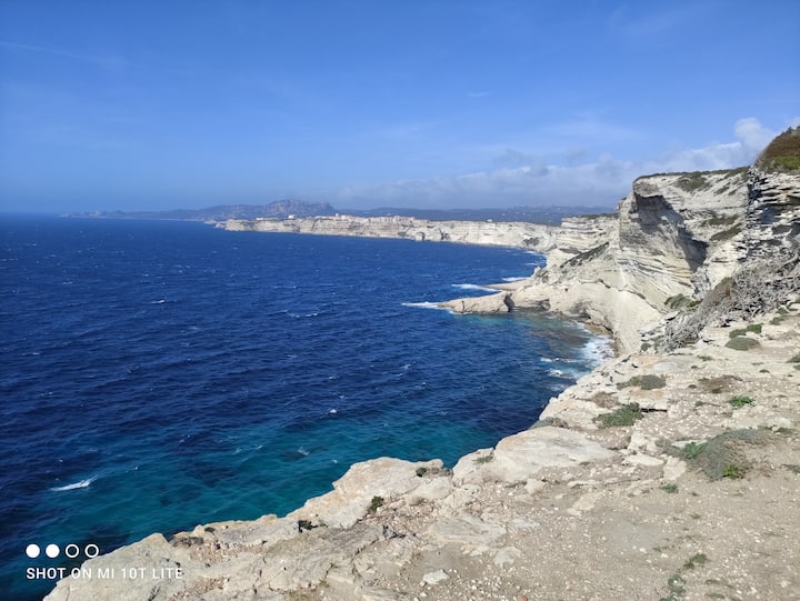 Situation Idéale Sur Bonifacio - Bonifacio