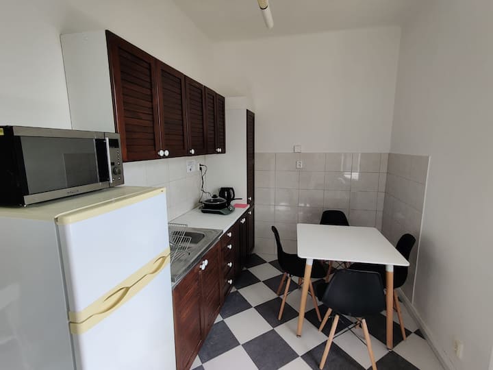 ŽIžkov Private Room, City View. - Praga