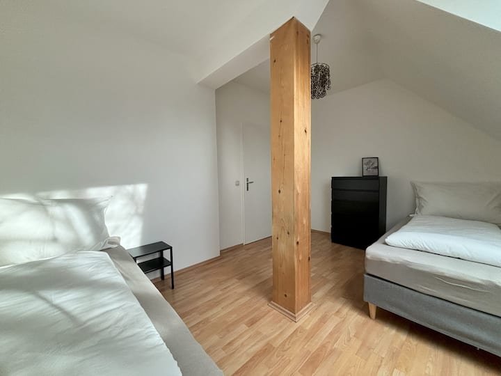 Apartment In Linz - Linz