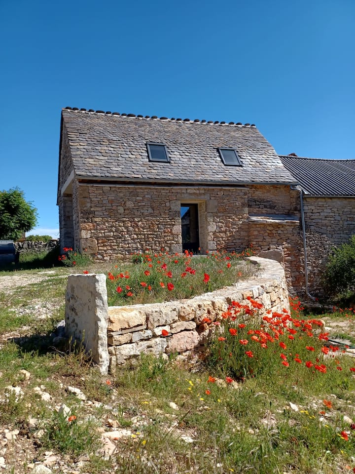 La Grange D'inès - Lozère