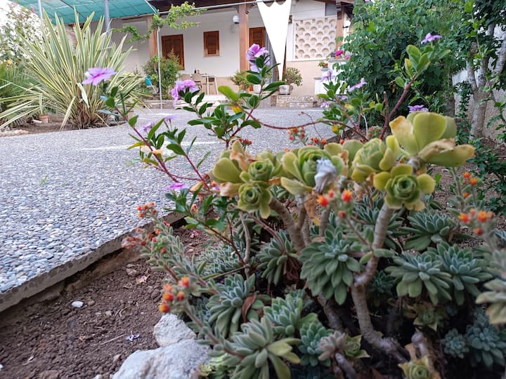Il Giardino Di Sofia - Torre dell'Orso