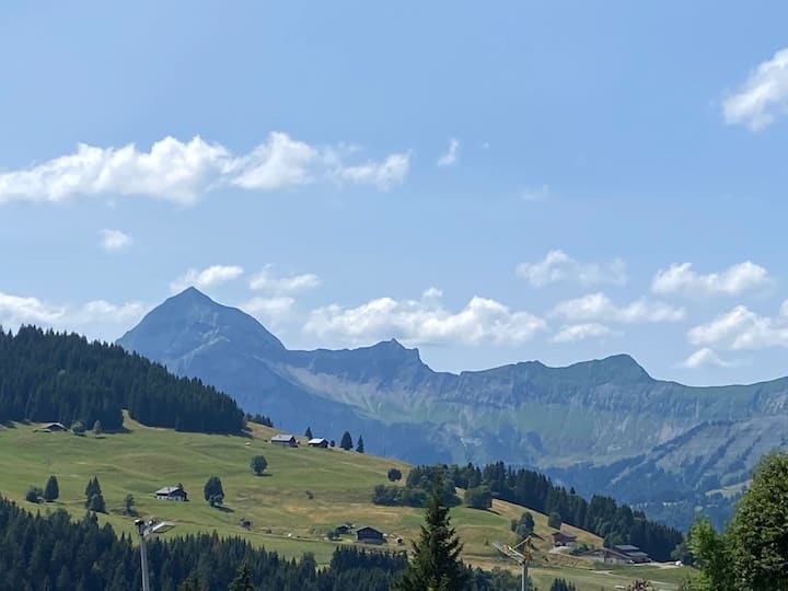Studio Ski Vélo Et Randonnée - Ugine