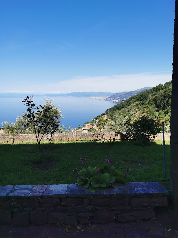 Top Hill Genoa - Recco