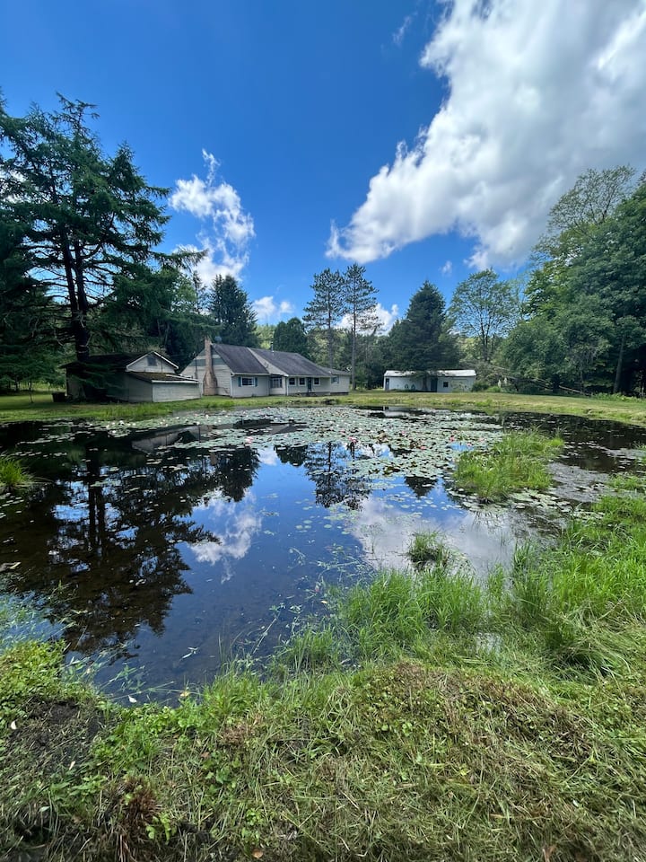 Hunting, Fishing, Quad Riding! - Elk County, PA
