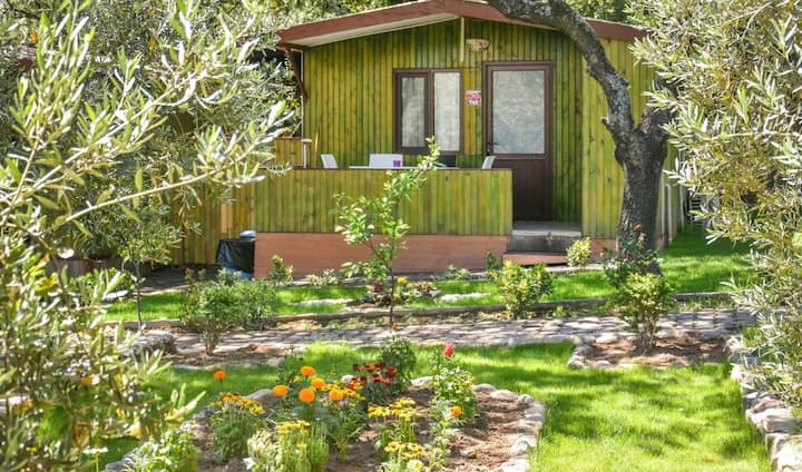 Delüx 1+1 Bungalov Ev - Burhaniye