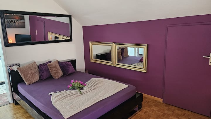 Wunderschöne Studio-wohnung In Winterthur - Winterthur