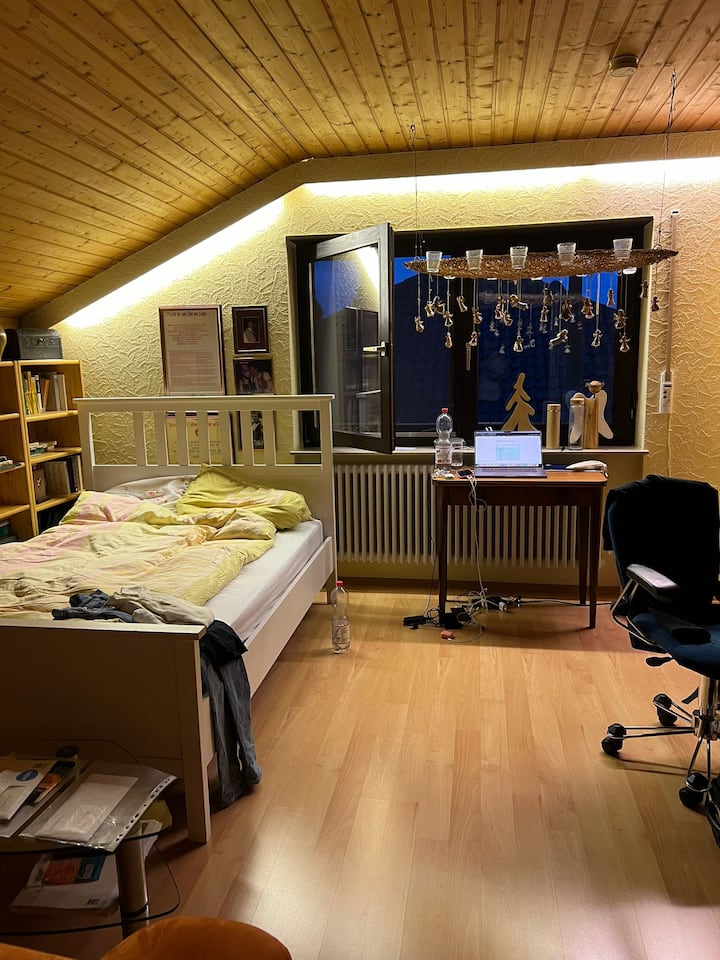 Apartment Ffm & Lampertheim - Lampertheim