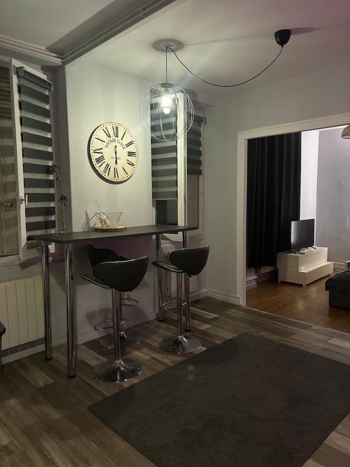 Appartement Convivial Et Calme - Saint-Étienne