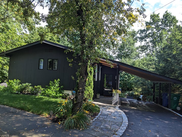 Unique Modern Midcentury - Newton, MA