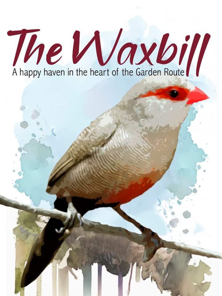 The Waxbill - Wilderness