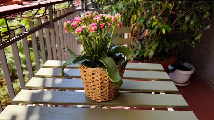 Appartamento In Città - Bari