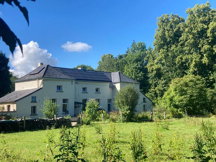Logement Niché Dans Un Bois - Manage