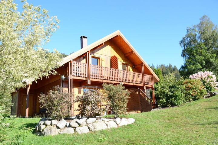 Les Jumeaux - Doubles Chalets - Xonrupt-Longemer