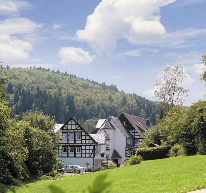 Waldblick Im Hotel Hubertushöhe - Schmallenberg