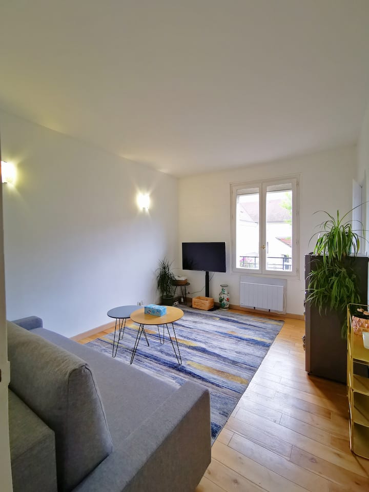 Joli Appartement Sur îLe Saint Germain Issy - Issy-les-Moulineaux