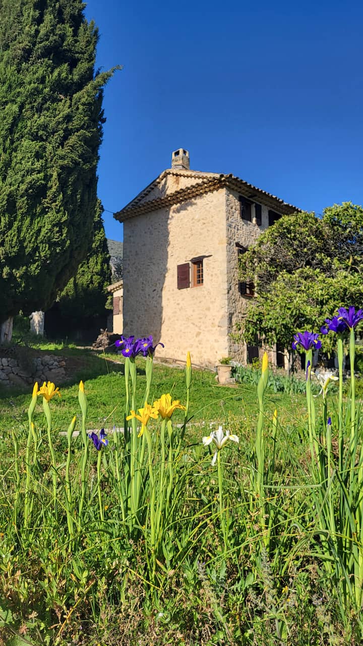 Bastide De Nartas -
La Provence Au Xviiie Siècle - Tourrettes-sur-Loup