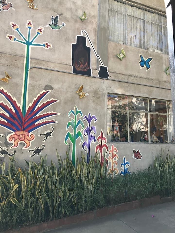 An Oasis In The Centro Of Oaxaca - Oaxaca