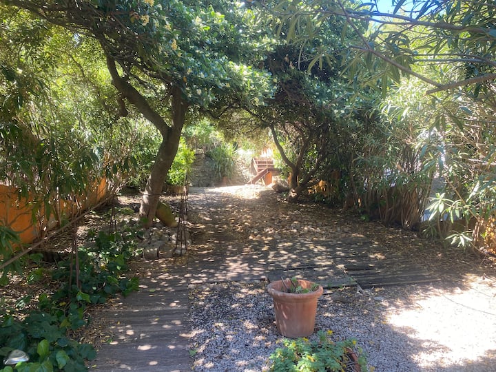 Maison Centre Ville Avec Jardin - ibis budget Sète centre