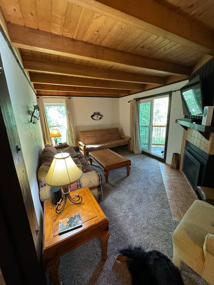 Buffalo Peak Retreat - Wildernest, CO