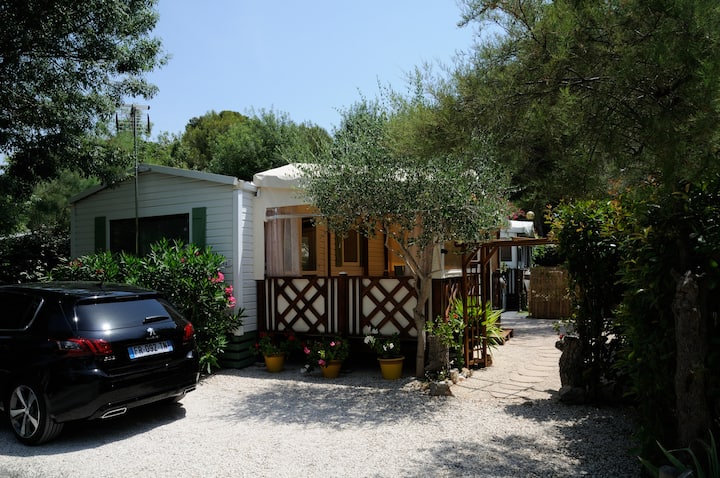 Bungalow Hyères
Camping Hyères - Hyères