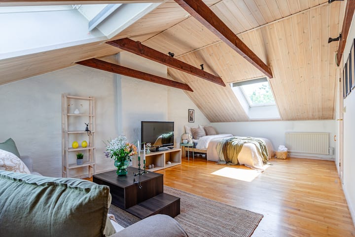Cozy Top Floor Mansard Apartment For 4 - Estocolmo