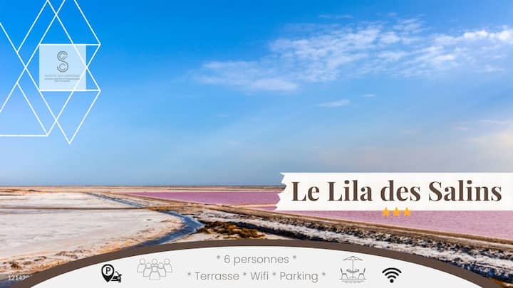 *Le Lila Des Salins* Salins De Giraud/arles - Salin de Giraud