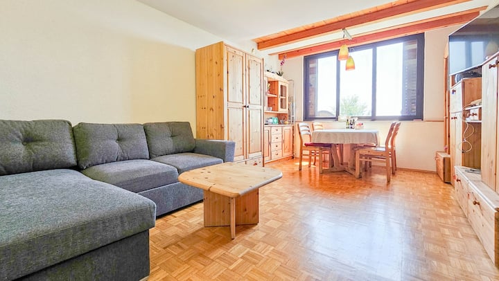 Apartment For Up To 3 Persons, 400m From The Beach - Novigrad