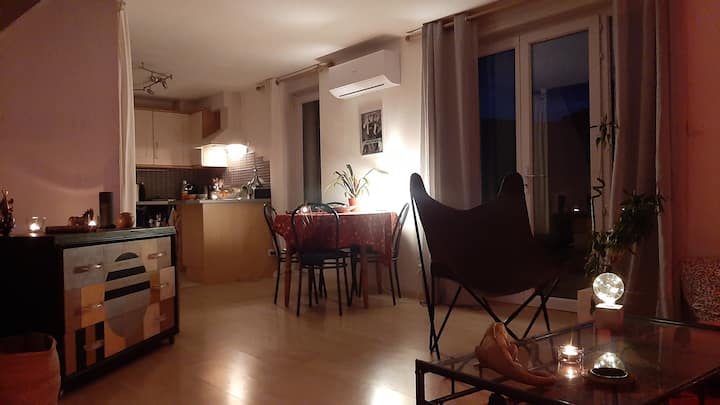 Duplex Climatisé Plein Centre - Narbonne