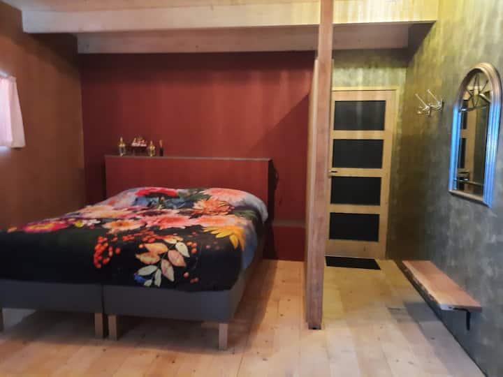 Bed En Breakfast Tulpen En Zo - Den Helder