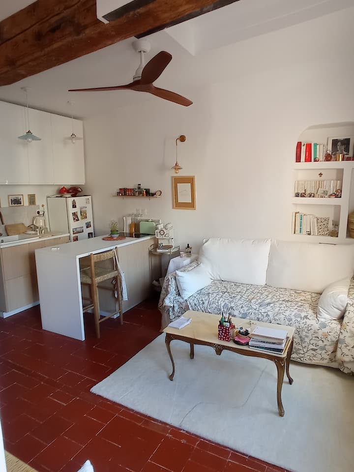 Charmant Appartement - Aix-en-Provence