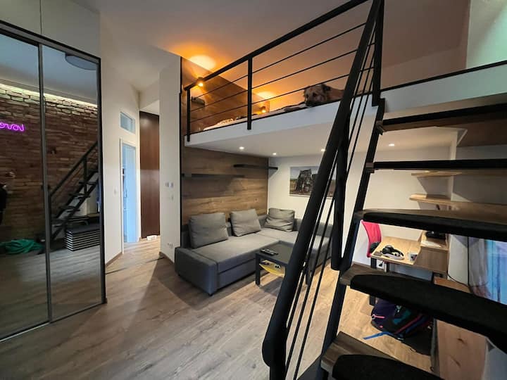 Apartmán V Srdci Bratislavy - Bratislava