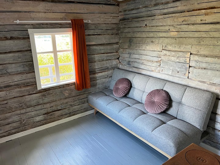 Beautiful Dragonfly Island-vaasa - Vaasa