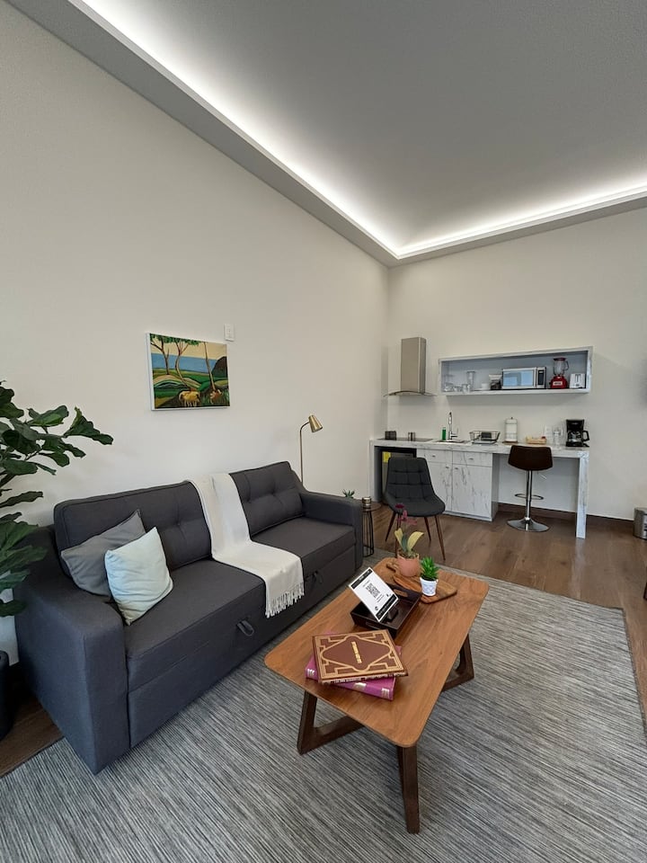 Casa Herrmann Suites-11 - Mexico City