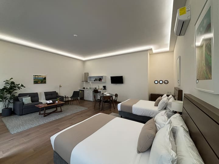 Casa Herrmann Suites-11 - Mexico City