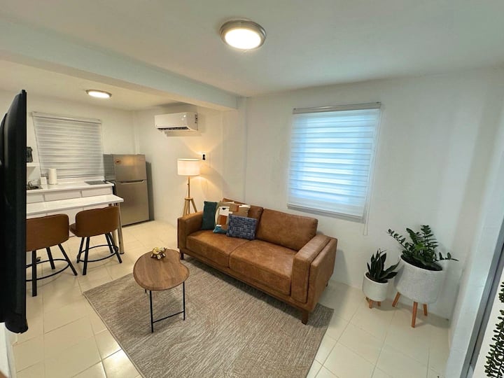 Gorgeous Remodeled Gem Santurce Iv - San Juan