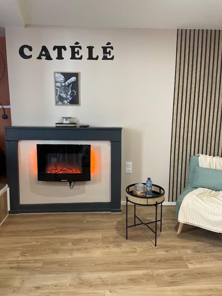 Le Catélé - Studio 3p, Calme, Tour De France - Riom