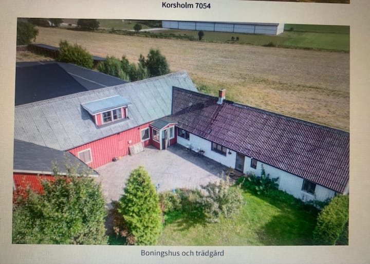 Fint Hus Med 3 Sovrum Nära Hörby - Hörby